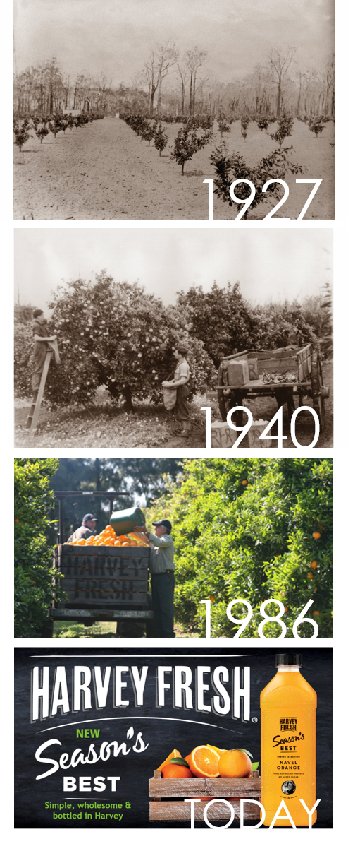 About Us • Harvey Fresh